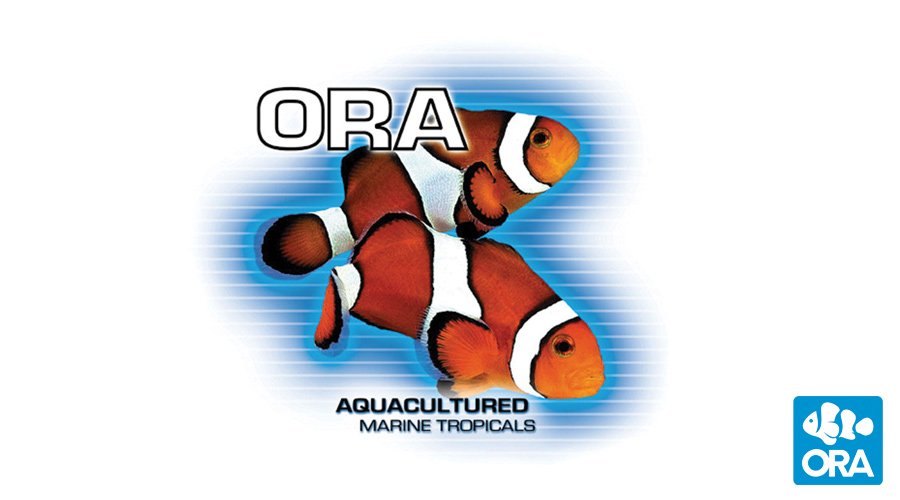Shop | ORA | Oceans, Reefs & Aquariums
